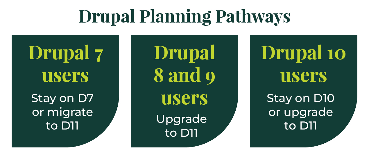 The Ultimate Guide to Drupal Planning and Development