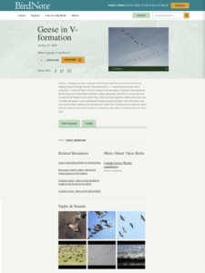 BirdNote | Kanopi Studios