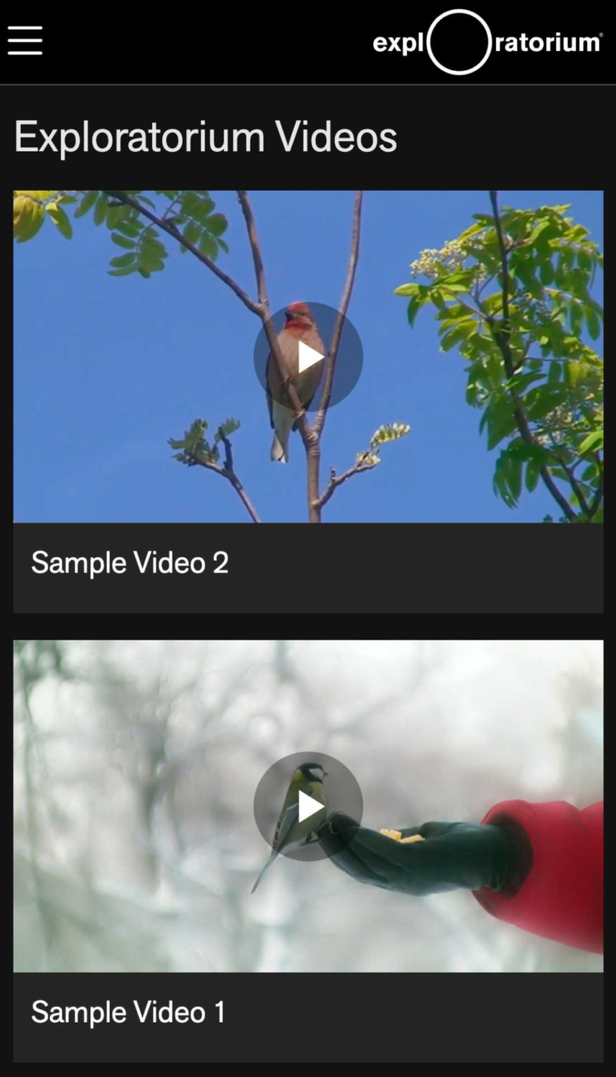 Exploratorium | Kanopi Studios