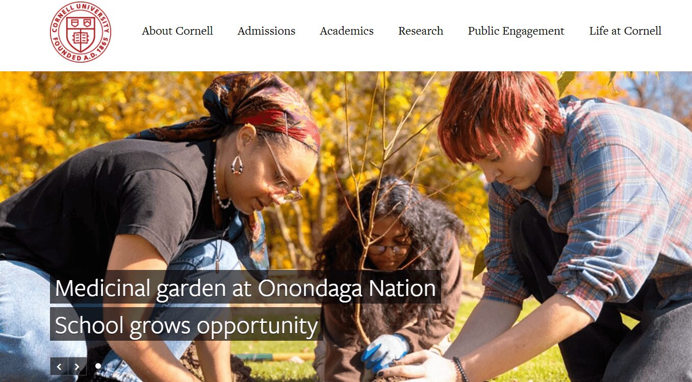 25+ of the Best College Websites & Why They Stand Out